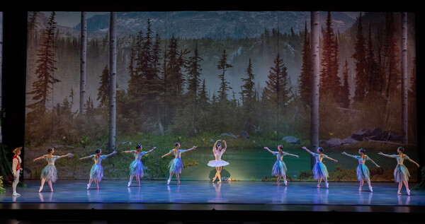 Alberta Ballet | Live Performances